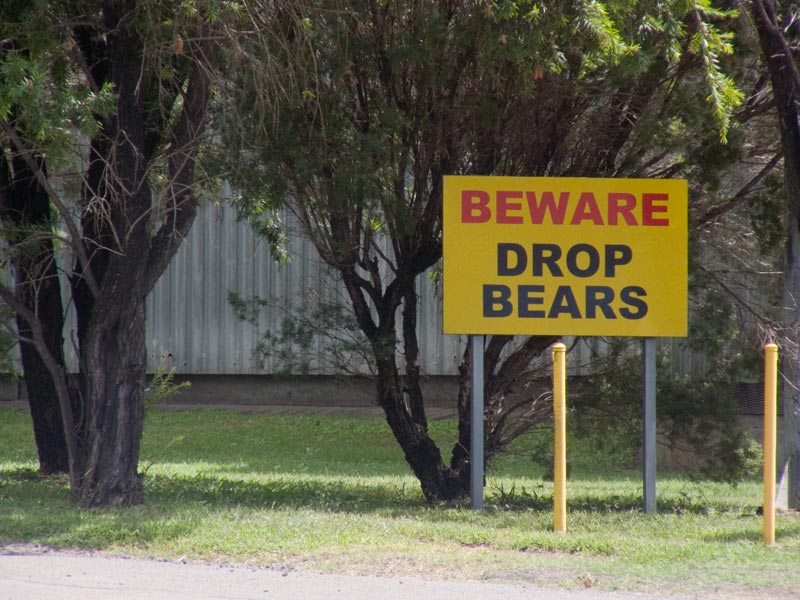 Hervey Bay & Bundy Rum – Blogs From The Wilderness